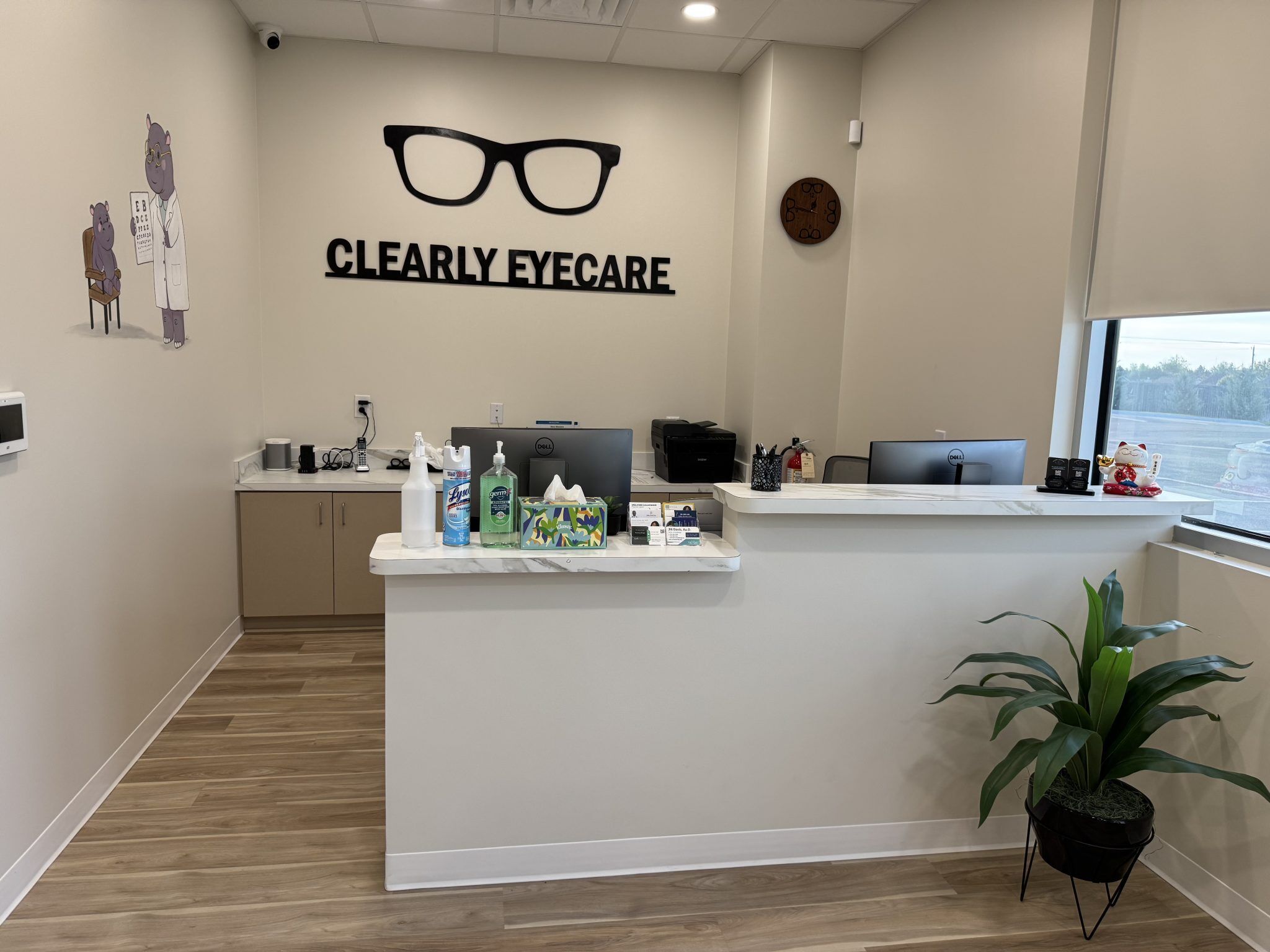 The Importance of 3D Vision: Stereopsis & Depth Perception